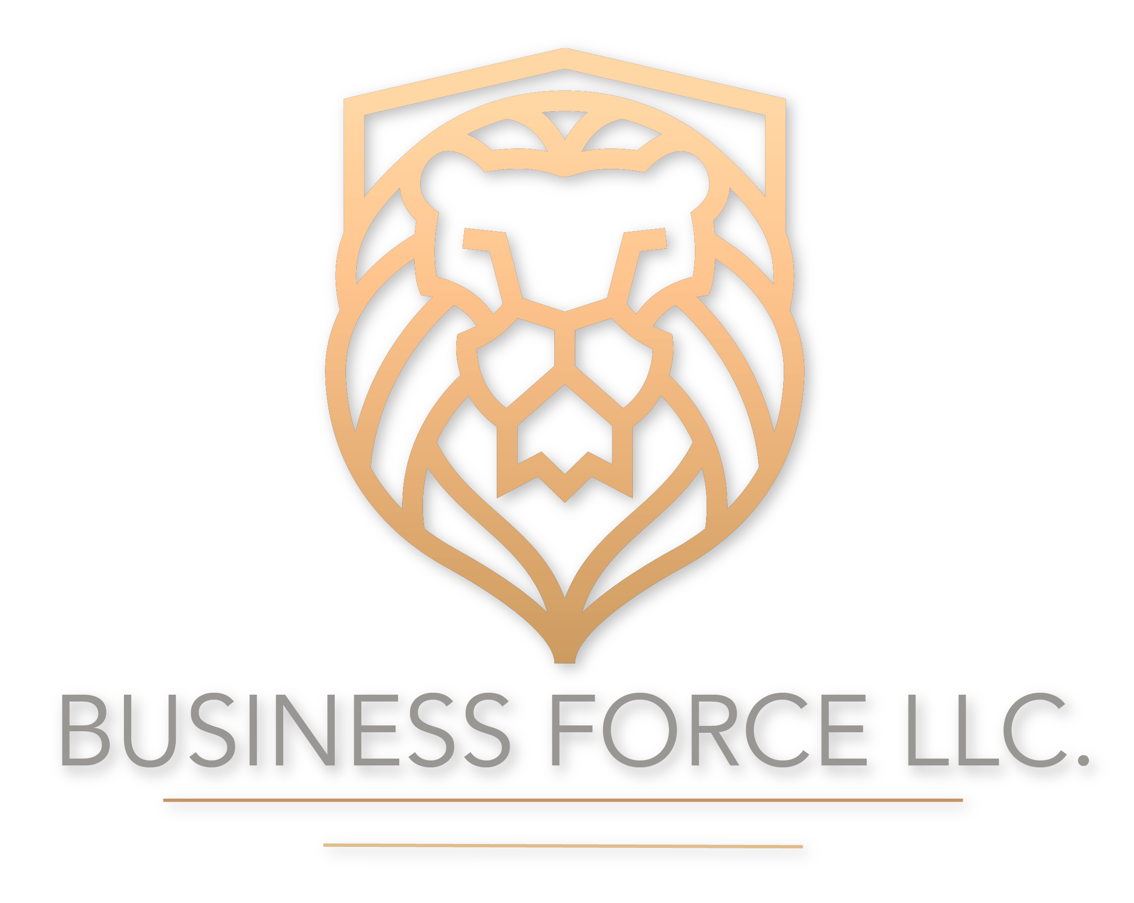 Products – Business Force LLC